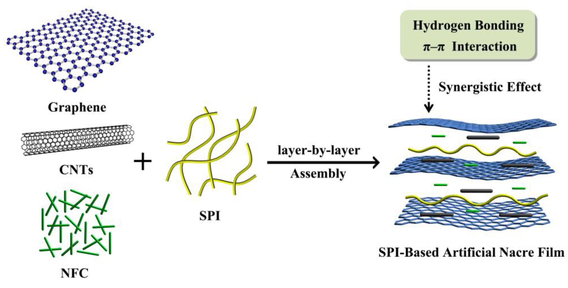 Nature-Inspired Green Procedure for Improving Performance of Protein ...