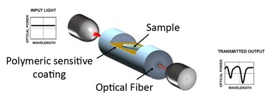 Polymers | Free Full-Text | Optical Fiber Sensors Based on Polymeric ...