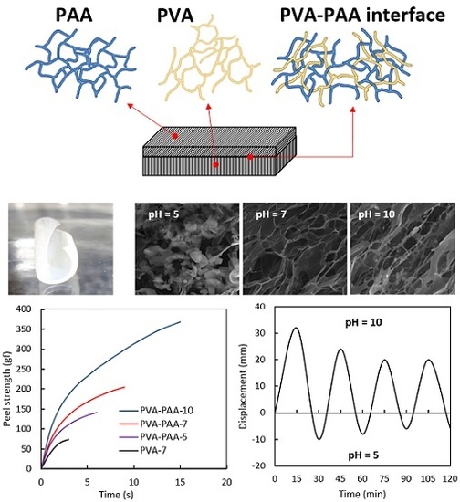 Polymers | Free Full-Text | Cost-Effective Double-Layer Hydrogel ...