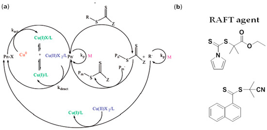 Recent Advances in RAFT Polymerization: Novel Initiation Mechanisms and ...