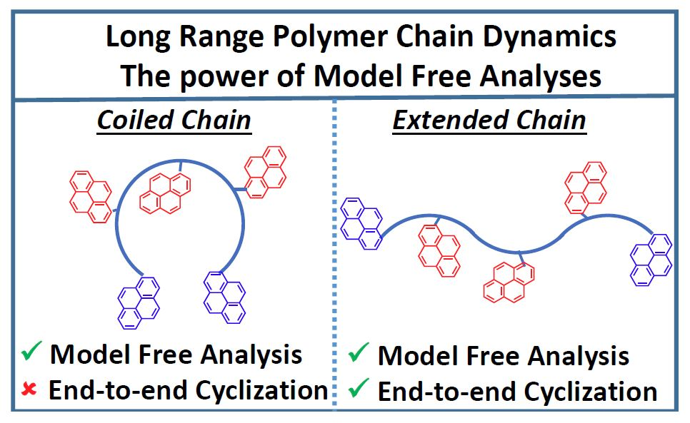Polymers | Free Full-Text | Long Range Polymer Chain Dynamics of Highly ...