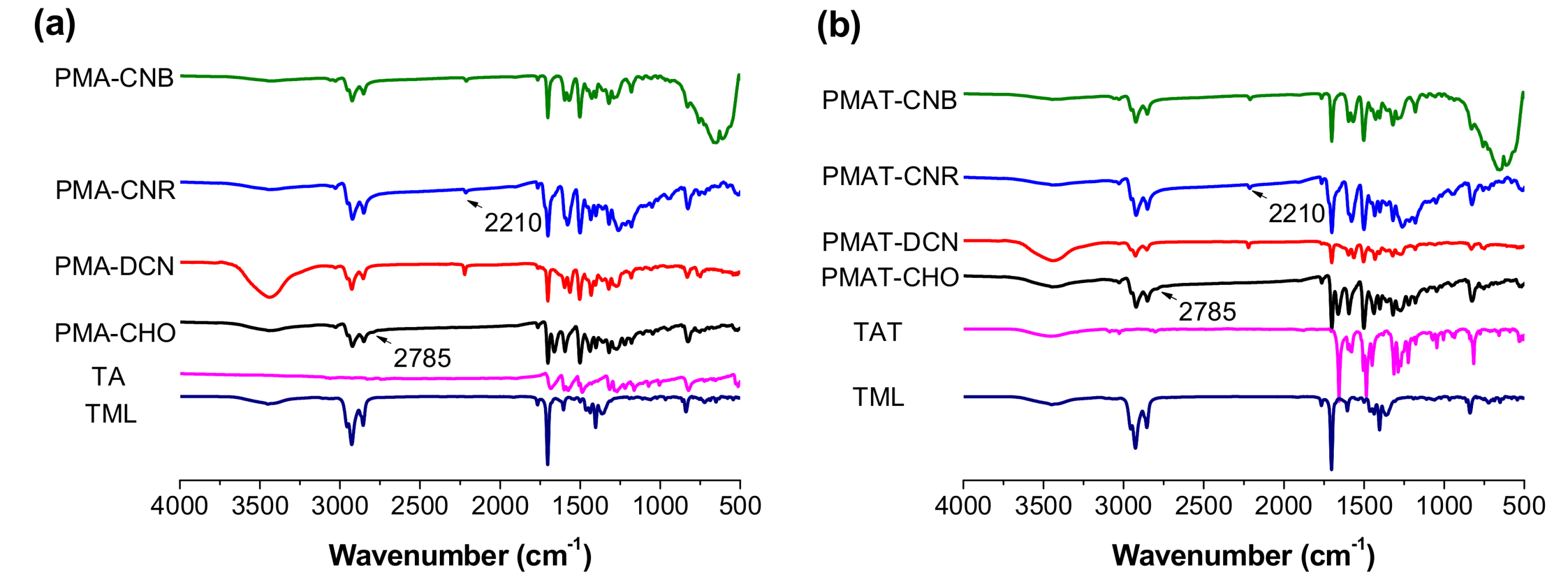 Polymers | Free Full-Text | Structure-Function Relationships in PMA and ...