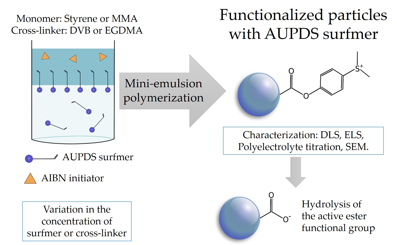 Polymers | Free Full-Text | Active Ester Containing Surfmer for One ...