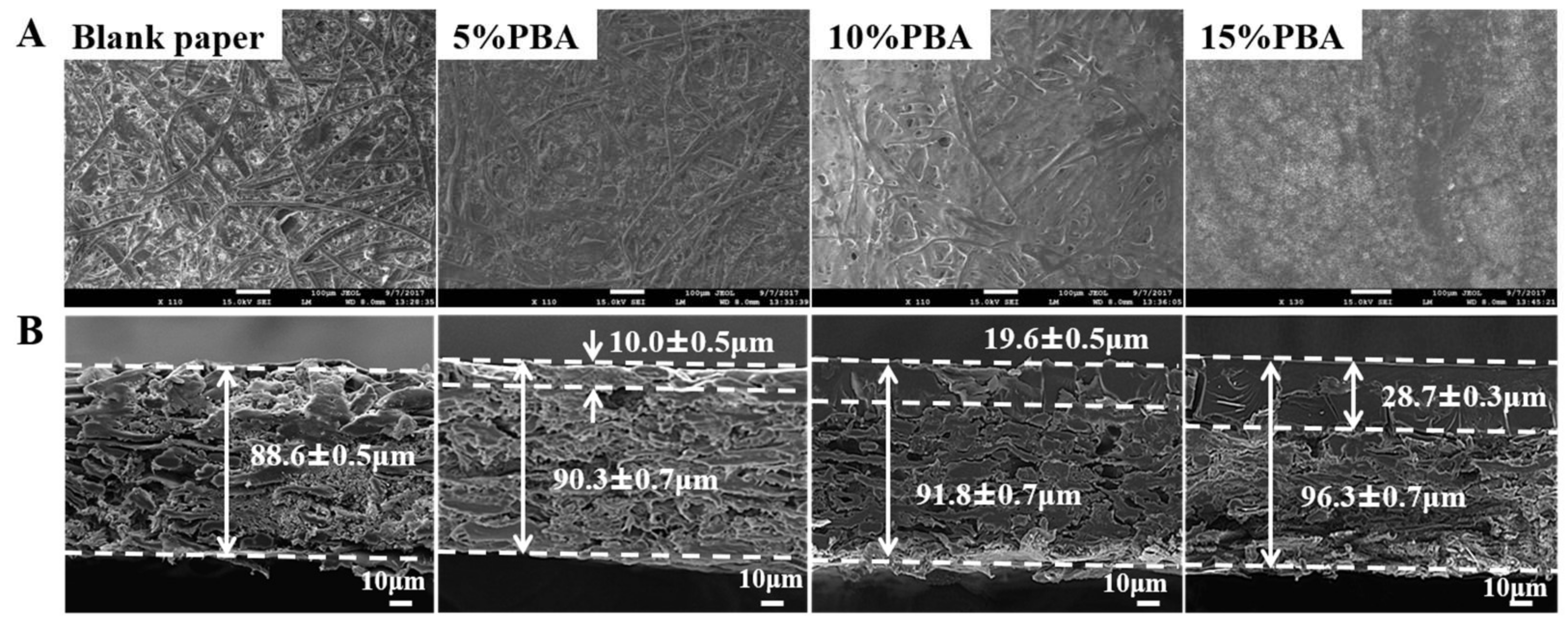 Antifungal Paper Based on a Polyborneolacrylate Coating