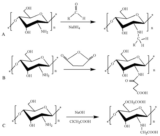 Polymers | Free Full-Text | Biomedical Applications of Chitosan and Its Derivative Nanoparticles