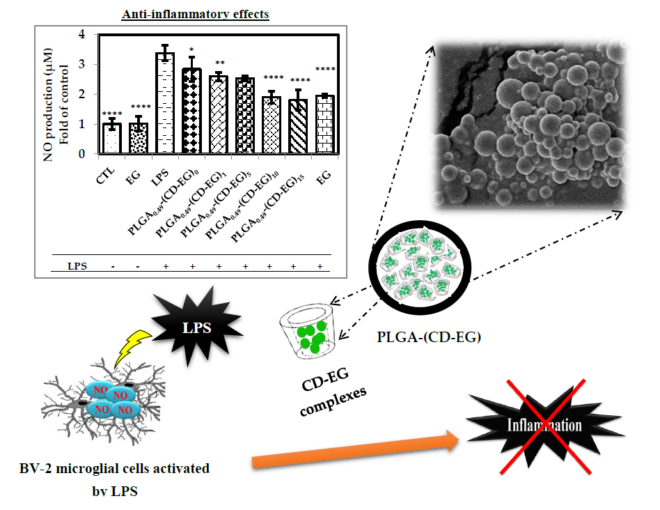 Polymers | Free Full-Text | PLGA Microspheres Loaded with β ...