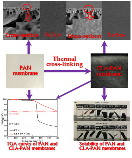 Polymers | Free Full-Text | Effects of Thermal Cross-Linking on the ...