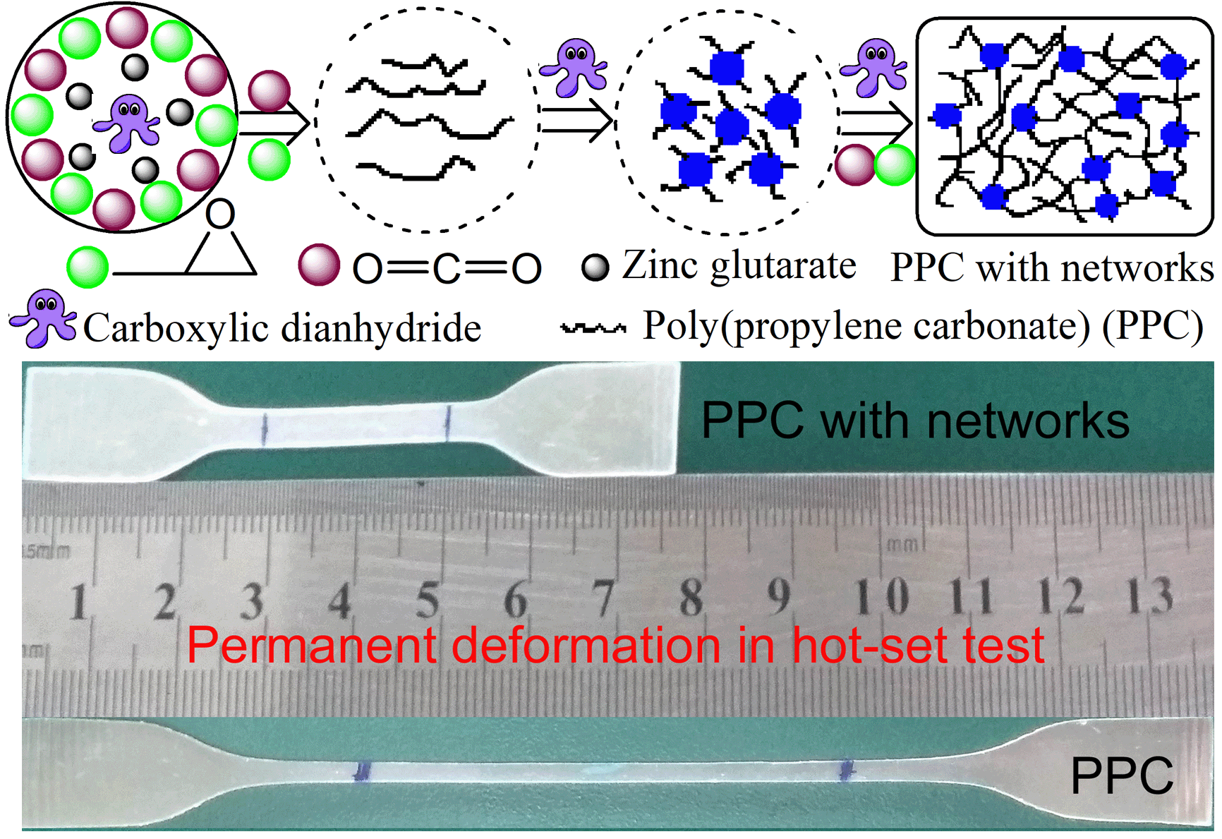 Polymers | Free Full-Text | Enhanced Poly(Propylene Carbonate) with ...