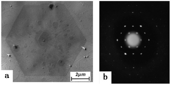 Polymorphic Behavior and Phase Transition of Poly(1-Butene) and Its ...