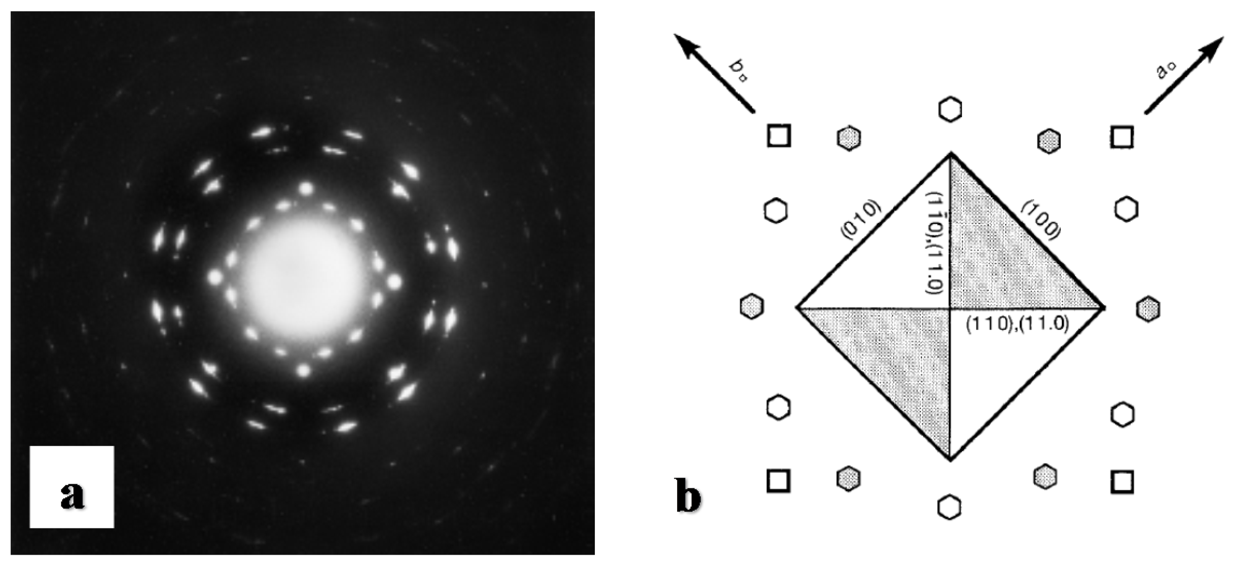 Polymorphic Behavior and Phase Transition of Poly(1-Butene) and Its ...