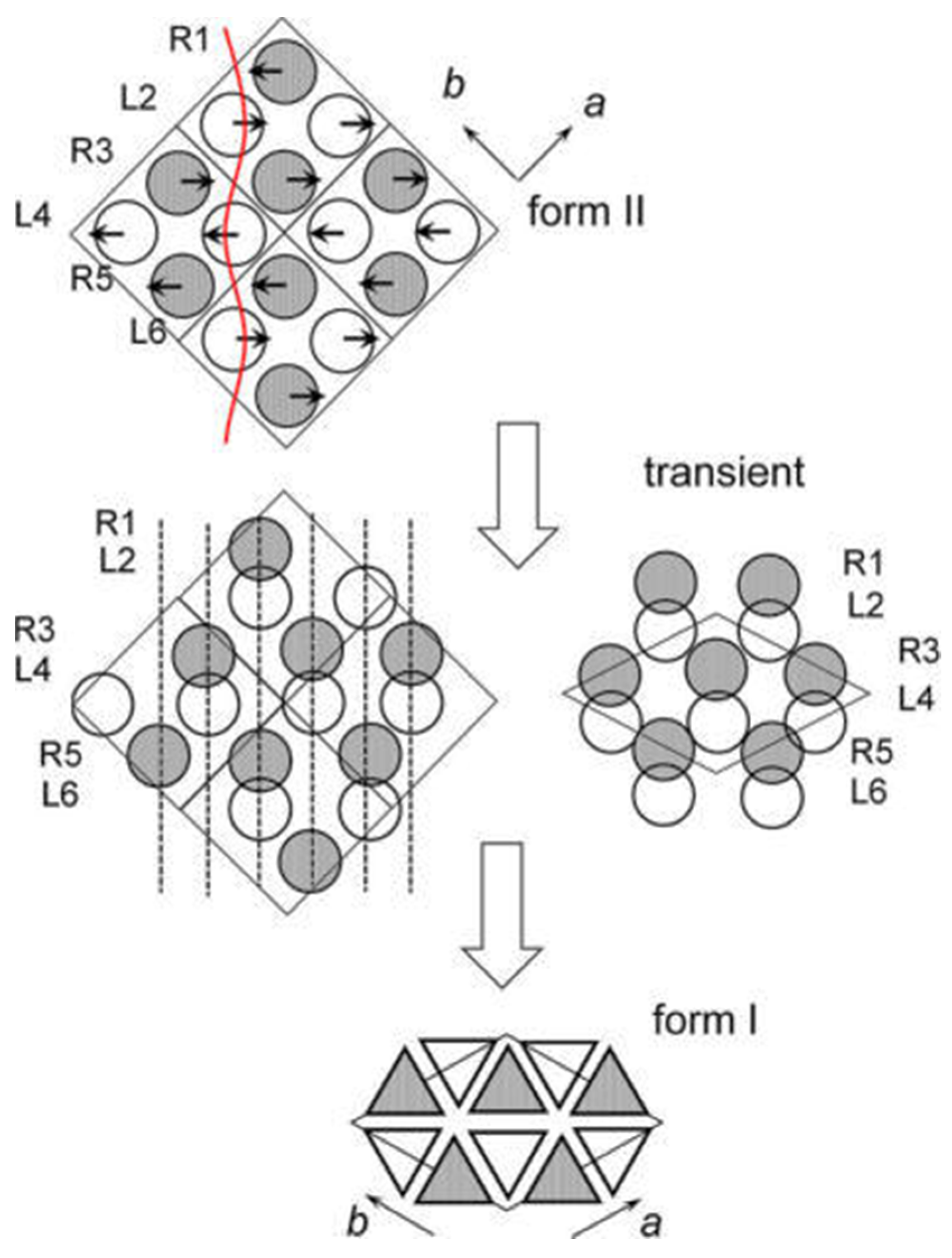 Polymorphic Behavior and Phase Transition of Poly(1-Butene) and Its ...