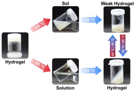 Polymers | Special Issue : Hydrophilic Polymers