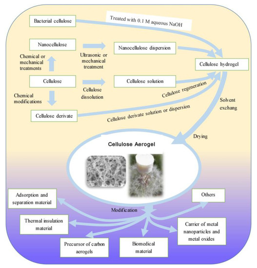 Cellulose Aerogels: Synthesis, Applications, and Prospects