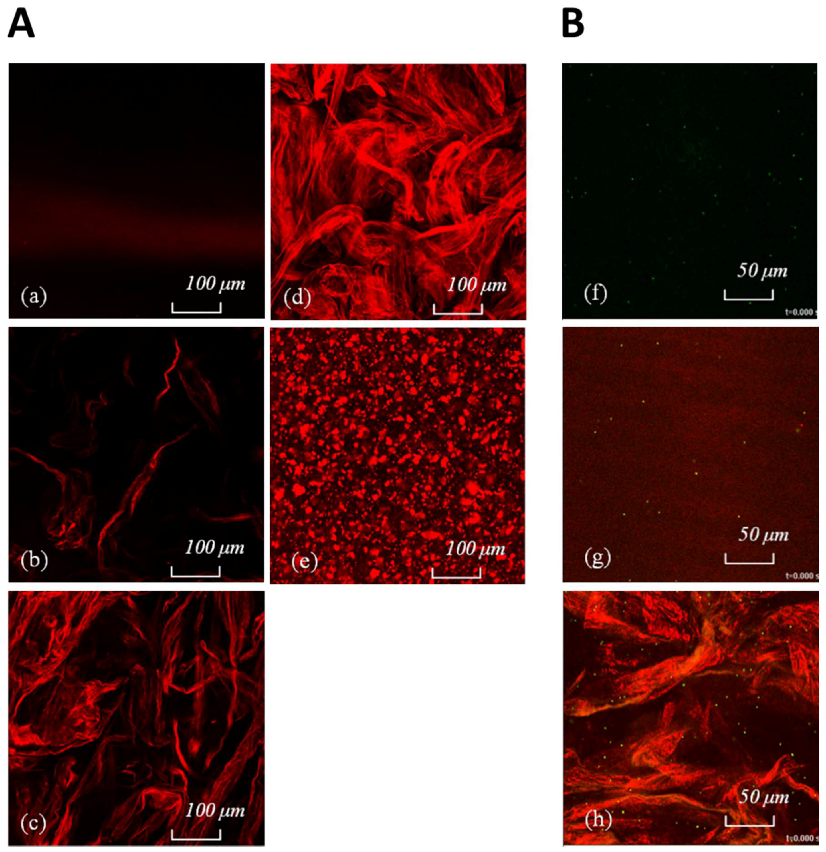 A Cellulose/Laponite Interpenetrated Polymer Network (IPN) Hydrogel ...