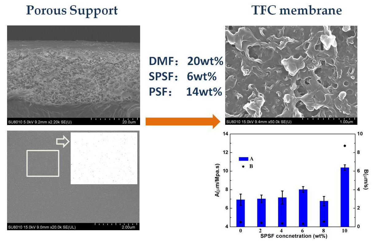 Polymers | Free Full-Text | Modification of PSf/SPSf Blended Porous ...