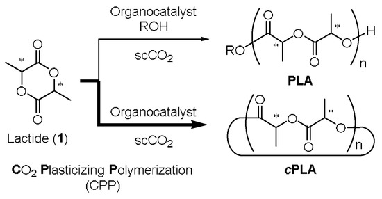 Organocatalytic Stereoselective Cyclic Polylactide Synthesis in ...