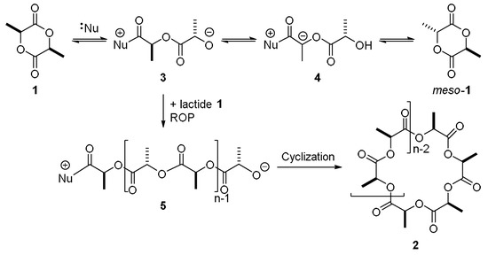 Polymers | Special Issue : Cyclic Polymers