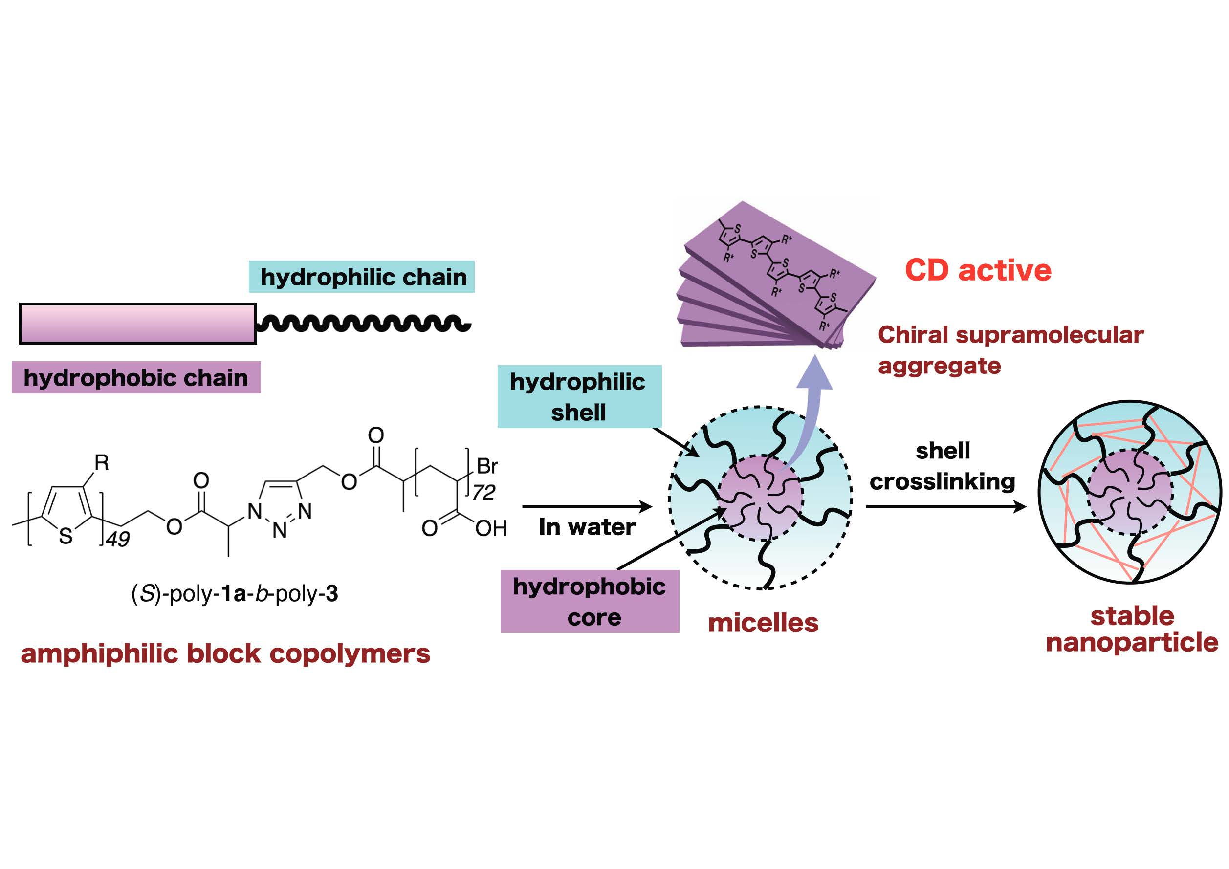 Polymers | Free Full-Text | Synthesis of Amphiphilic Block Copolymers Containing Chiral ...