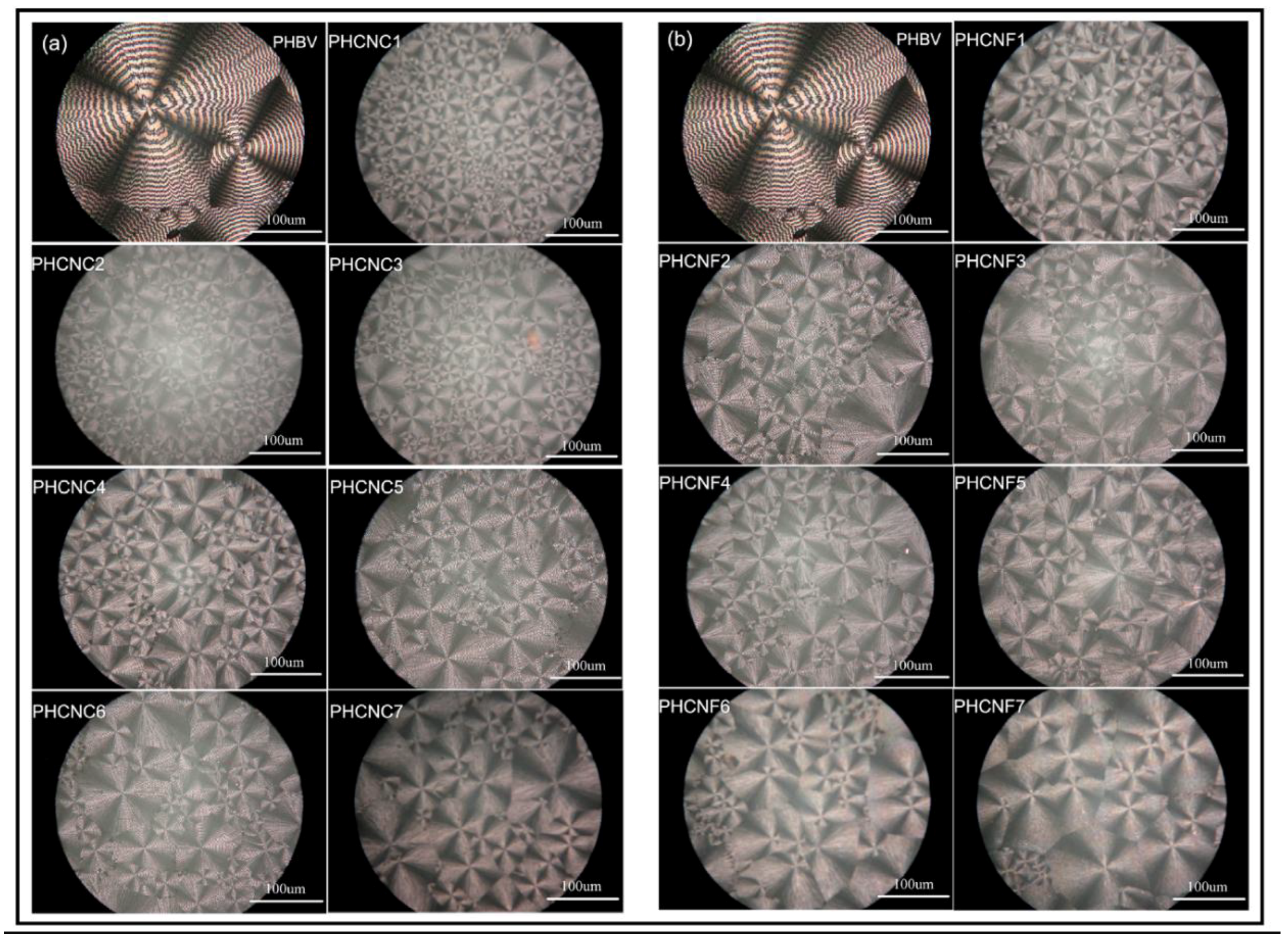 Poly(3-Hydroxybutyrate-co-3-Hydroxyvalerate): Enhancement Strategies ...