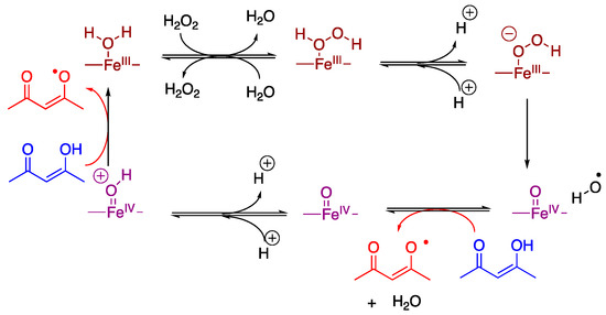 Investigating the Mechanism of Horseradish Peroxidase as a RAFT-Initiase