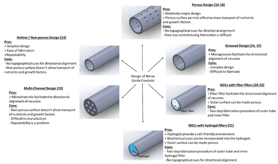Electrohydrodynamic Jet 3D Printed Nerve Guide Conduits (NGCs) for ...