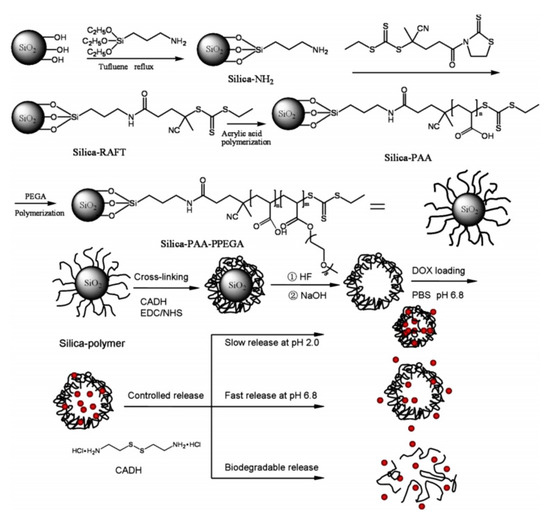 Polymers | Special Issue : Precision Polymer Synthesis