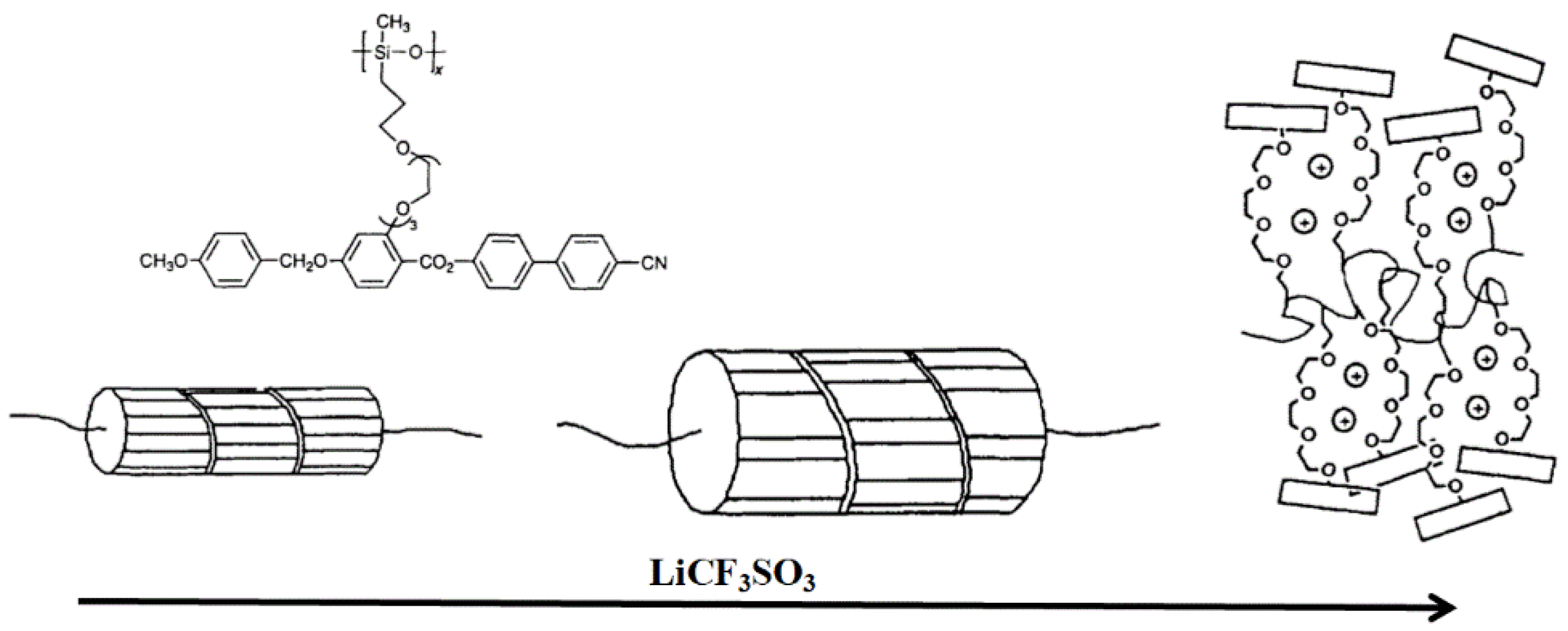 Polymers | Free Full-Text | Polysiloxane-Based Side Chain Liquid ...