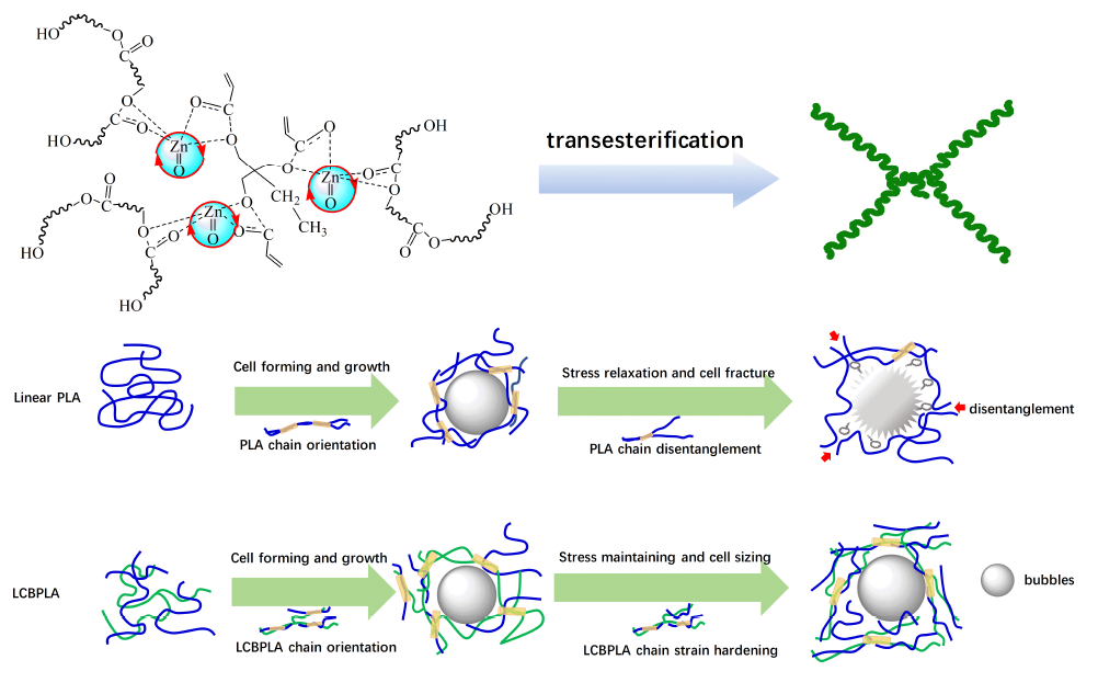 Polymers | Free Full-Text | Star Shaped Long Chain Branched Poly ...
