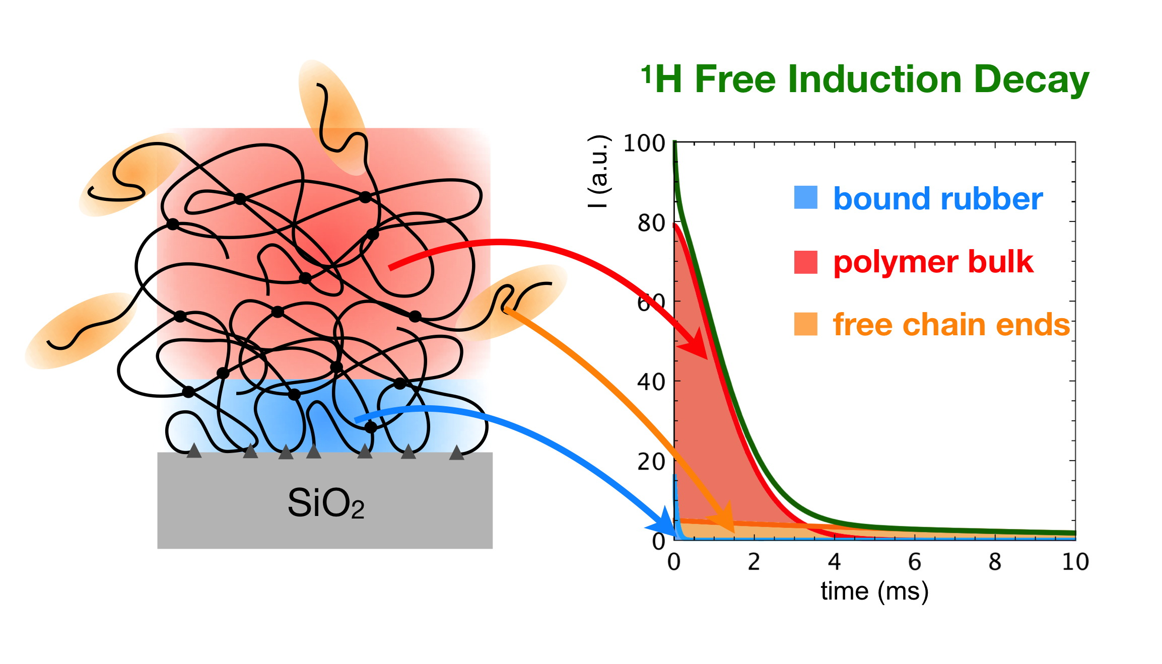 Polymers | Free Full-Text | Rubber-Filler Interactions in Polyisoprene ...