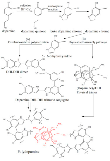 Effect of Intercalation Structure of Organo-Modified Montmorillonite ...