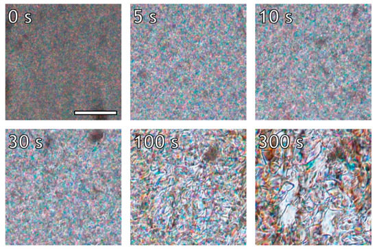 Polymers | Special Issue : Liquid Crystalline Polymers
