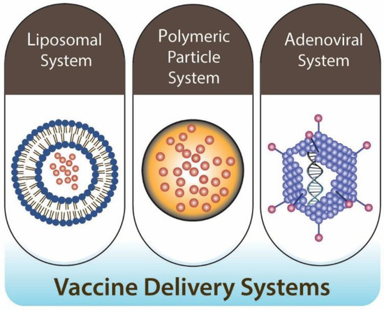 Oral Vaccine Delivery for Intestinal Immunity—Biological Basis ...