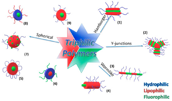 Polymers | Special Issue : Hydrophilic Polymers