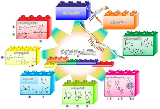 Polyphilicity—An Extension of the Concept of Amphiphilicity in Polymers