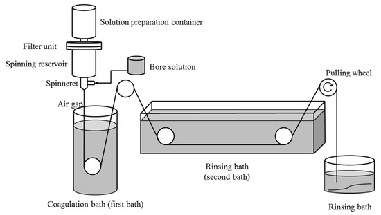 Spinning Cellulose Hollow Fibers Using 1-Ethyl-3-methylimidazolium ...