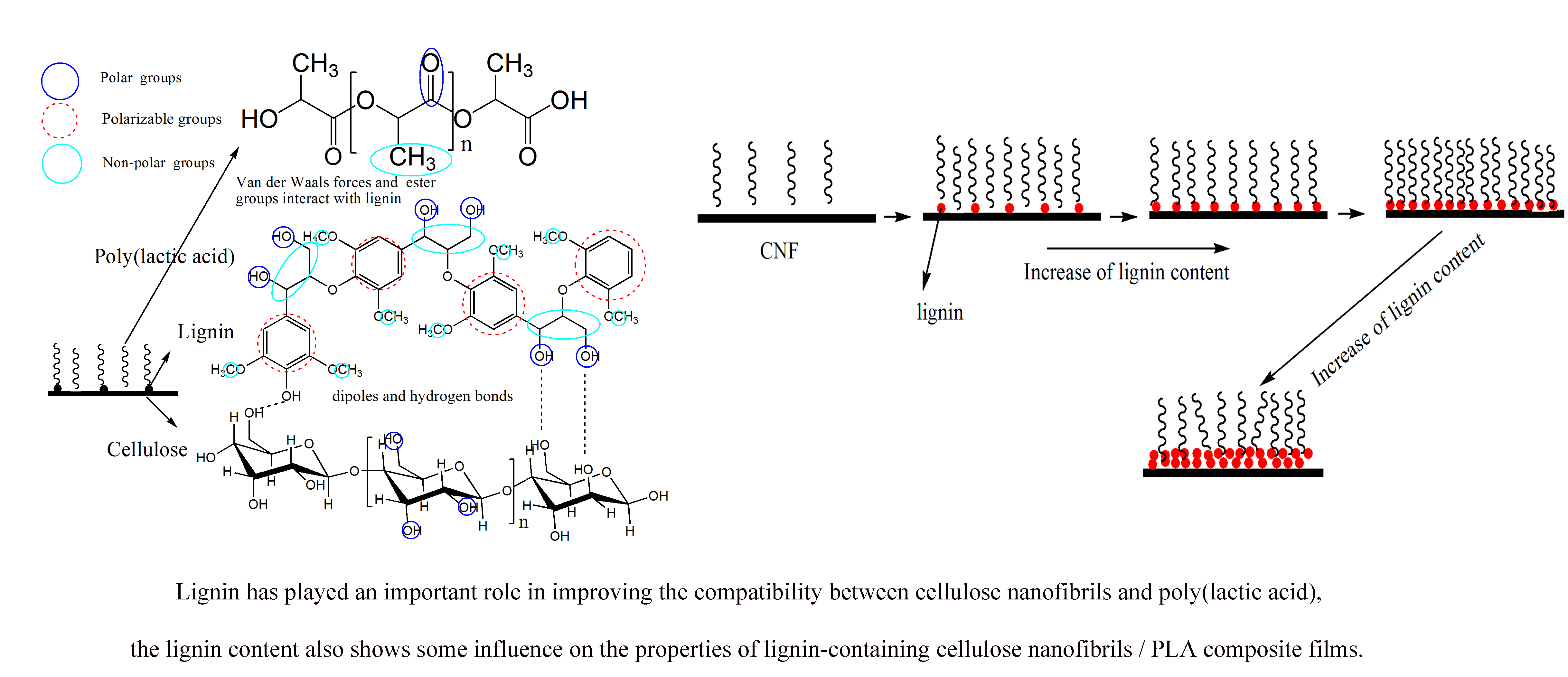 Polymers | Free Full-Text | Influence of the Lignin Content on the ...