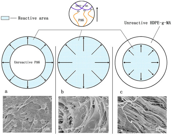Effect of Core-Shell Morphology on the Mechanical Properties and ...