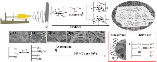 Polymers | Free Full-Text | Electrospun Cellulose Nanocrystals/Chitosan/Polyvinyl Alcohol ...