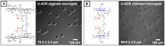 Polymers | Special Issue : Hydrophilic Polymers Polymers | Special Issue : Hydrophilic Polymers