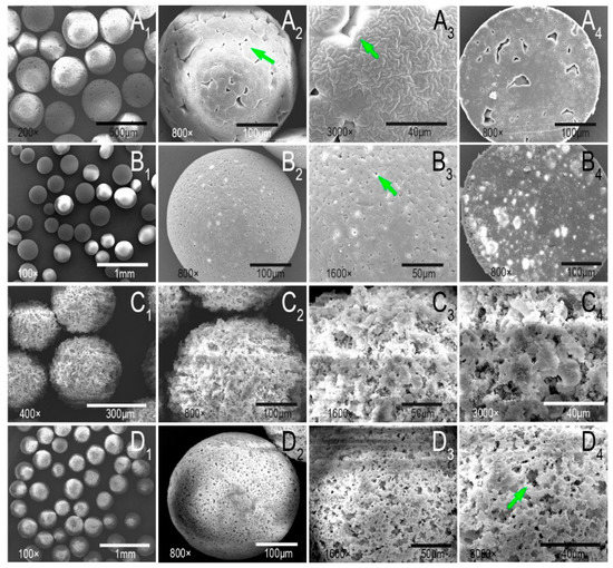 Polymers | Special Issue : Intrinsically Biocompatible Polymer Systems