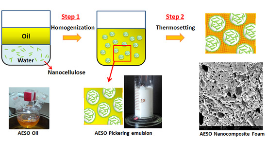 Polymers | Free Full-Text | Nanocellulose Stabilized Pickering Emulsion ...