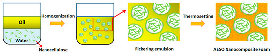 Nanocellulose Stabilized Pickering Emulsion Templating for ...