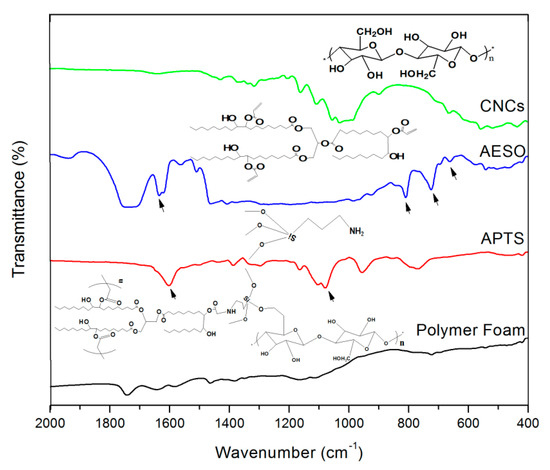 Nanocellulose Stabilized Pickering Emulsion Templating for ...