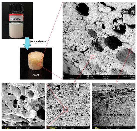 Nanocellulose Stabilized Pickering Emulsion Templating for ...