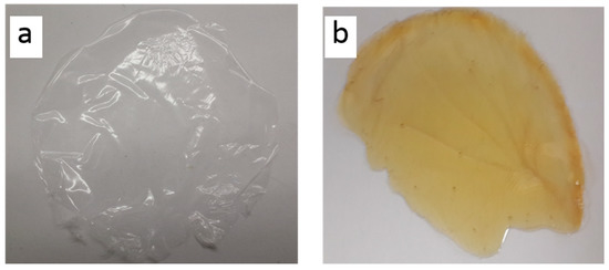 Polymers | Special Issue : Biodegradable and Biobased Polyesters Polymers | Special Issue : Biodegradable and Biobased Polyesters
