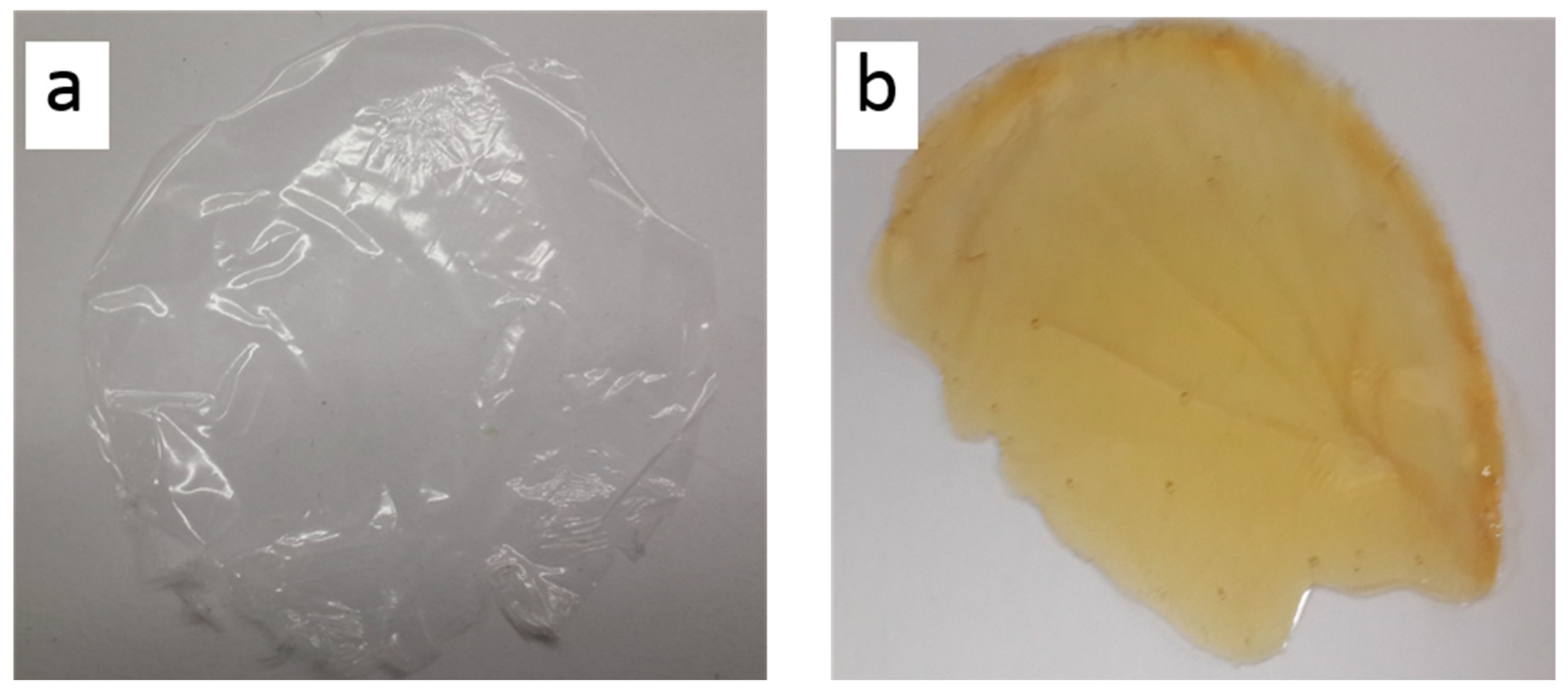 Synthesis of High Molecular Weight Polyester Using in Situ Drying ...