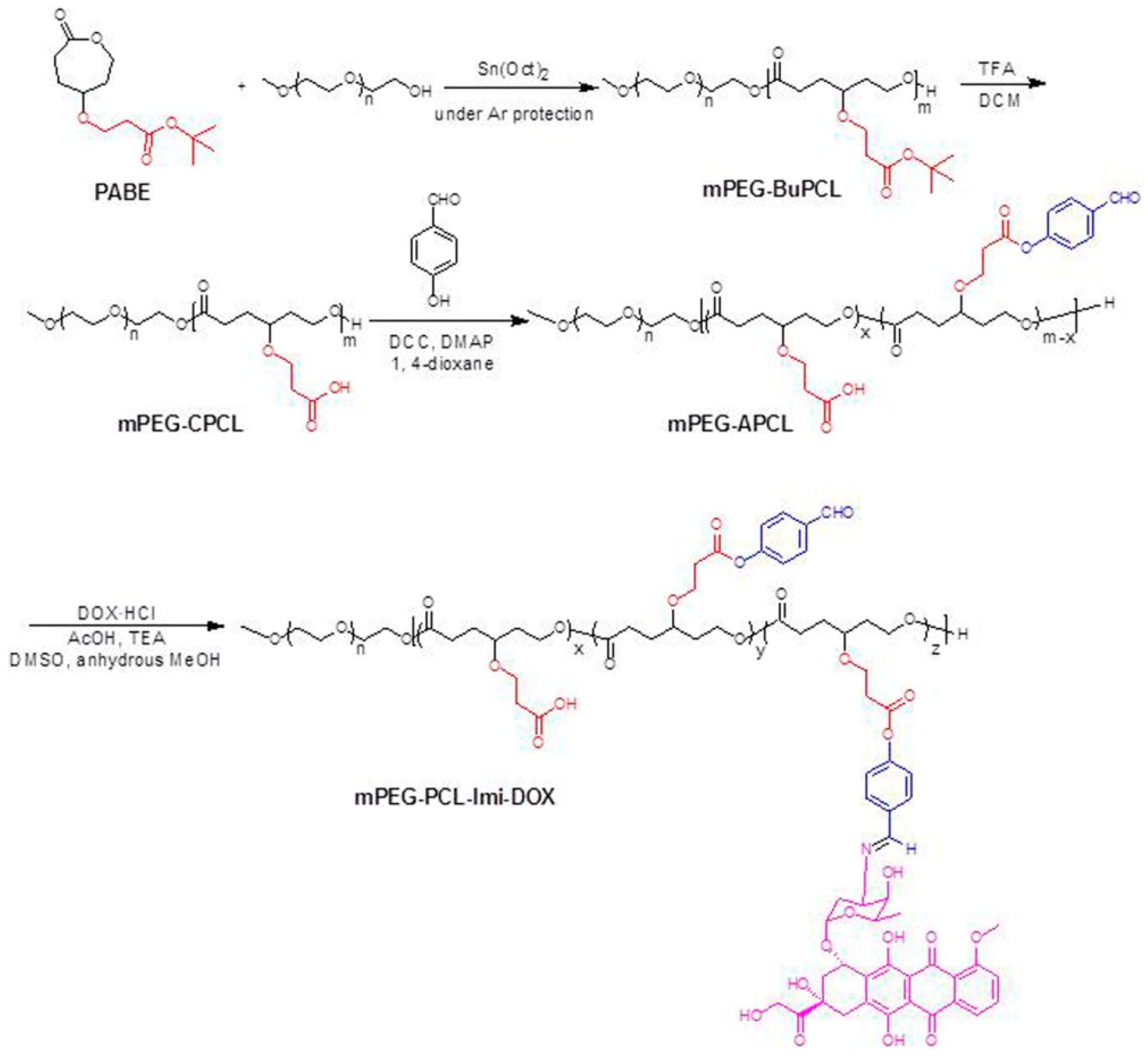 Design, Synthesis, and Characterization of Schiff Base Bond-Linked pH-Responsive Doxorubicin ...