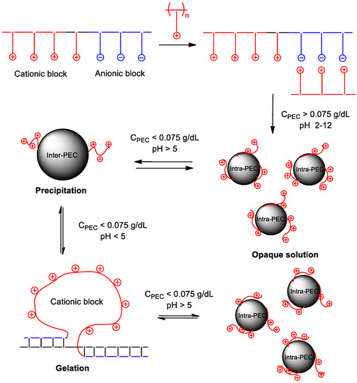 Intra- and Interpolyelectrolyte Complexes of Polyampholytes
