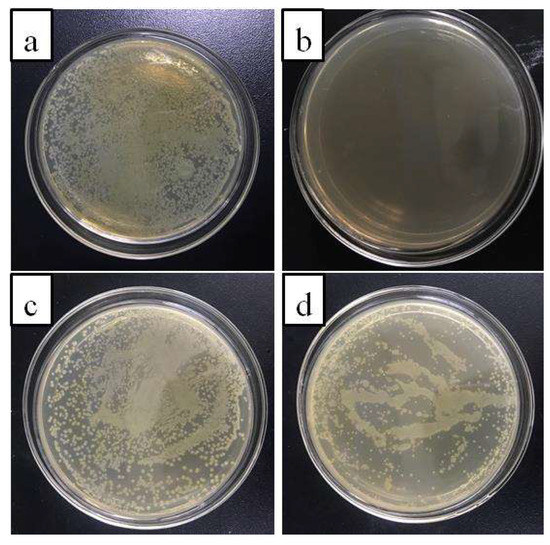 Facile Route for Bio-Phenol Siloxane Synthesis via Heterogeneous ...