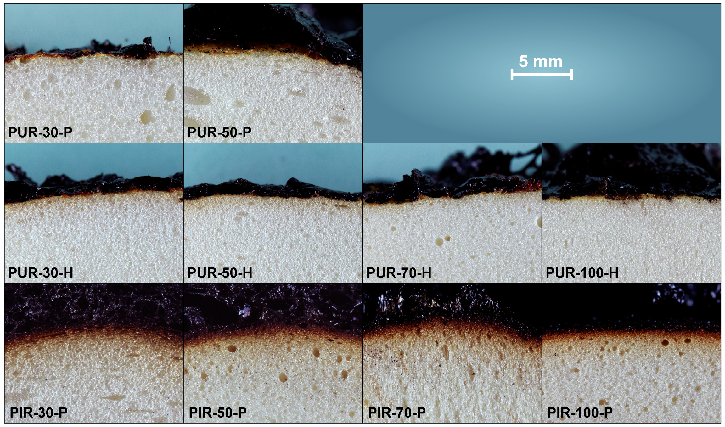 Fire Phenomena of Rigid Polyurethane Foams